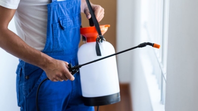 Pest Control In Colorado Springs, CO | High Country Pest Control